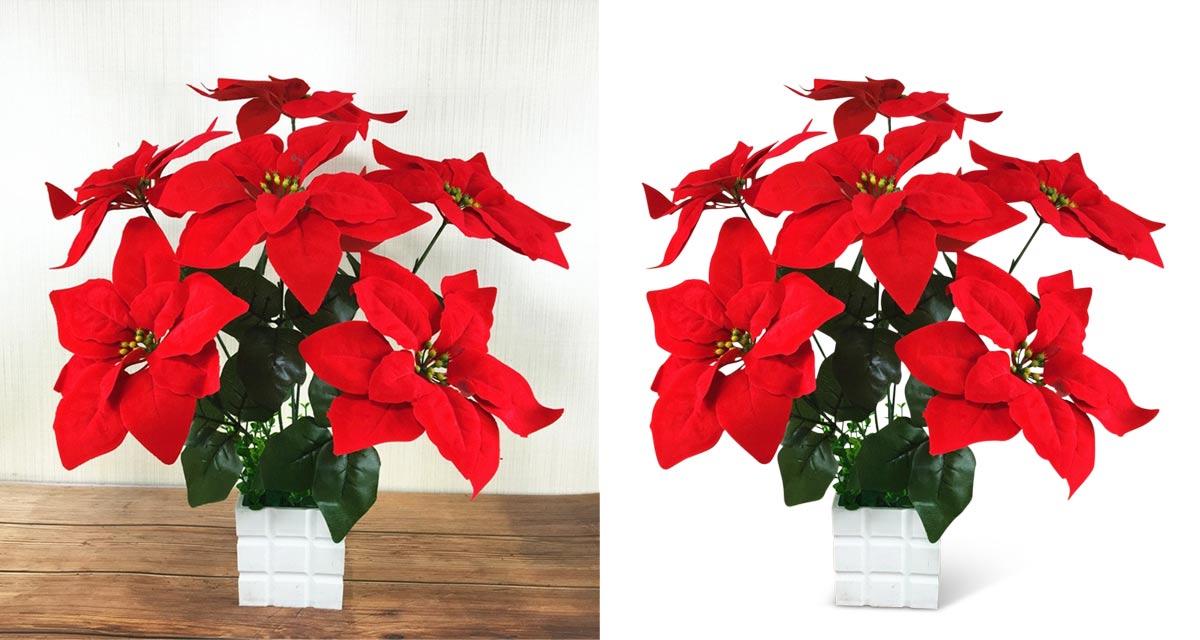 Clipping Path Service - Adept Clipping Path