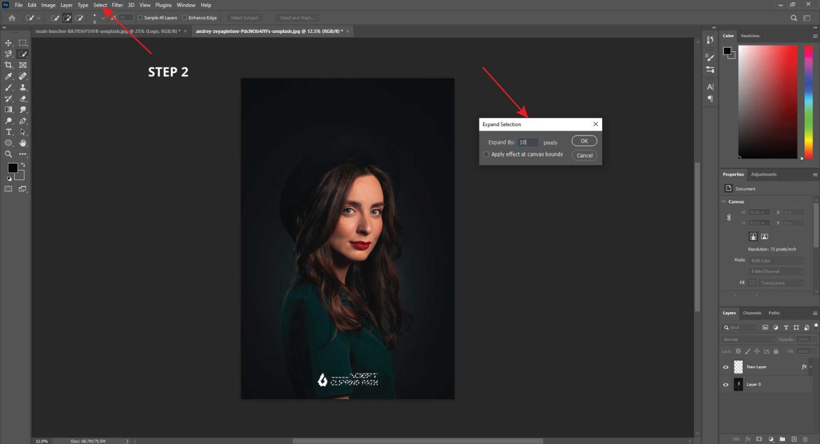 How to Remove Watermark from Photo