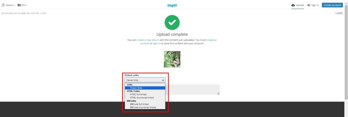 Complete Guide to Imgbb
